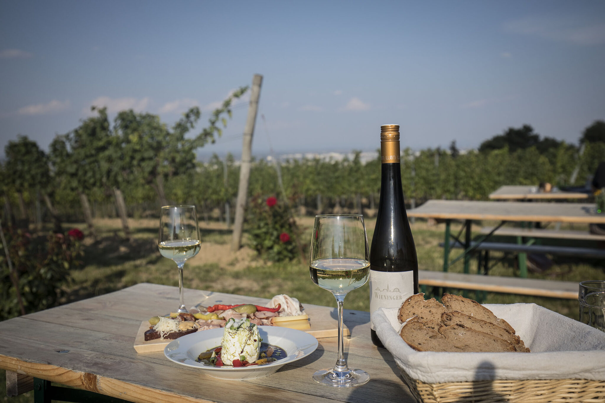 Die 5 besten Heurigen in Wien - Wienerin