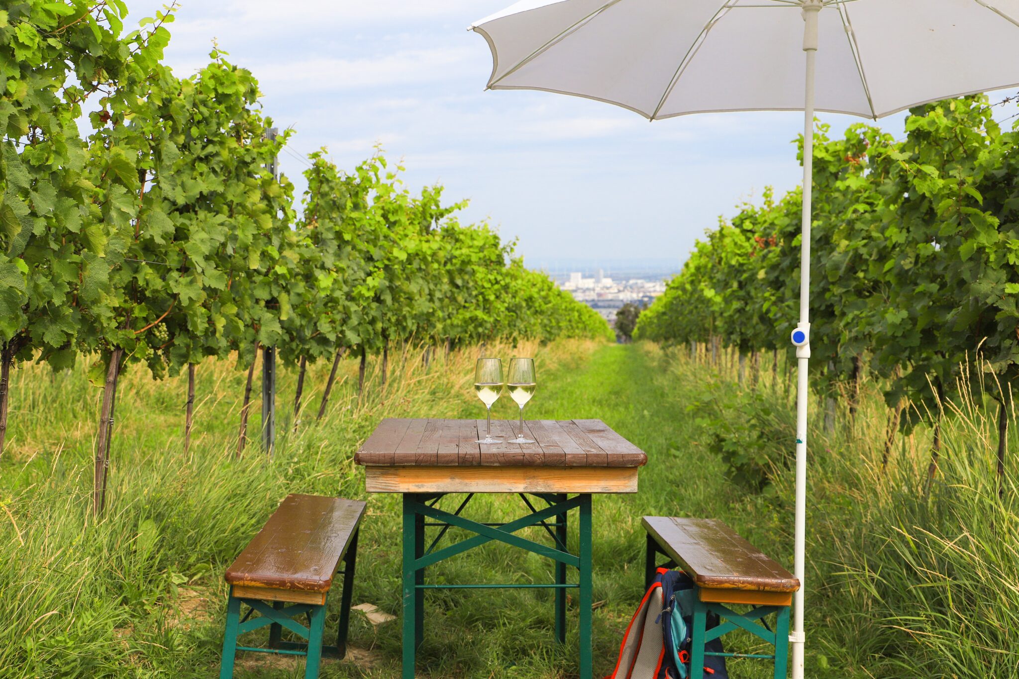 Die 5 besten Heurigen in Wien - Wienerin